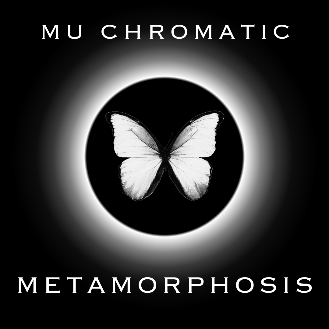 METAMORPHOSIS COLLECTION – MUChromatic